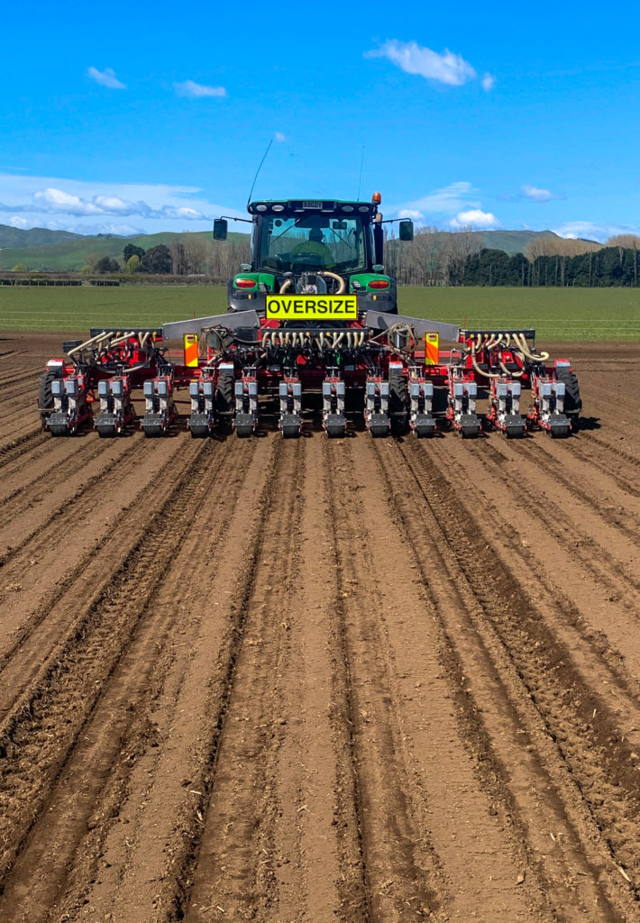 Baby Beetroot - Apatu FarmsApatu Farms